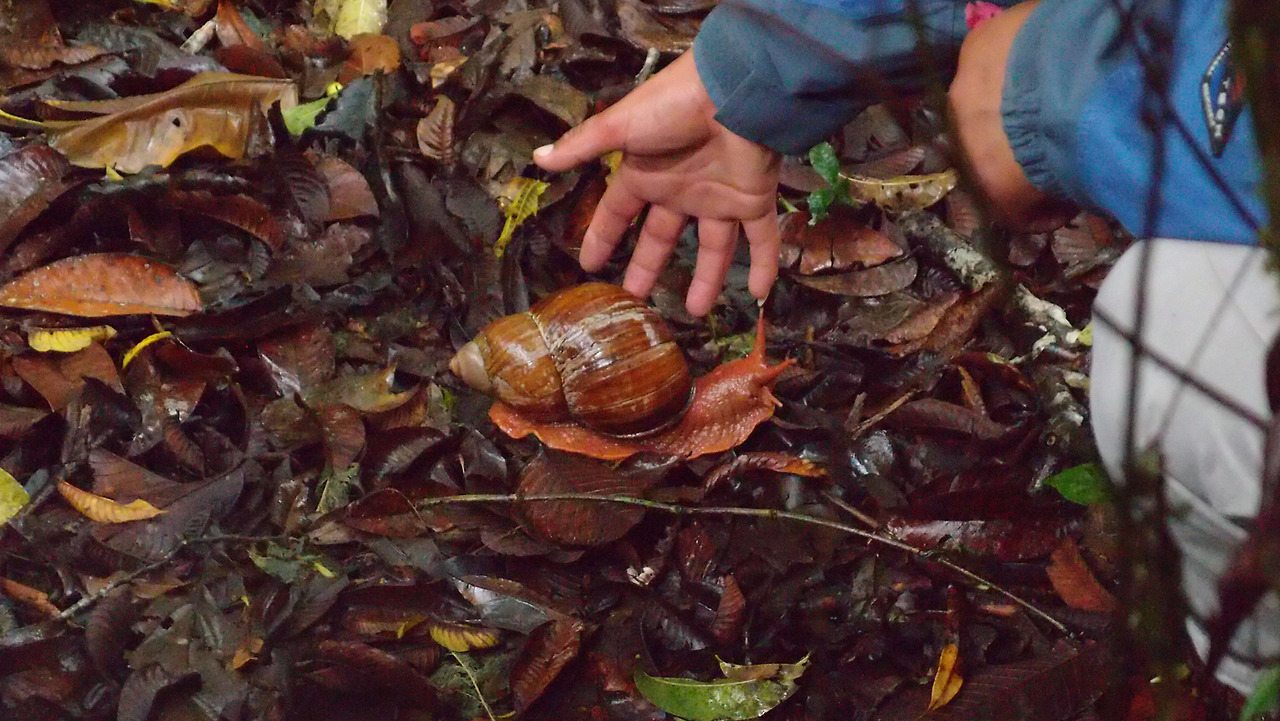 Snails and Innovation | Travis White Communications